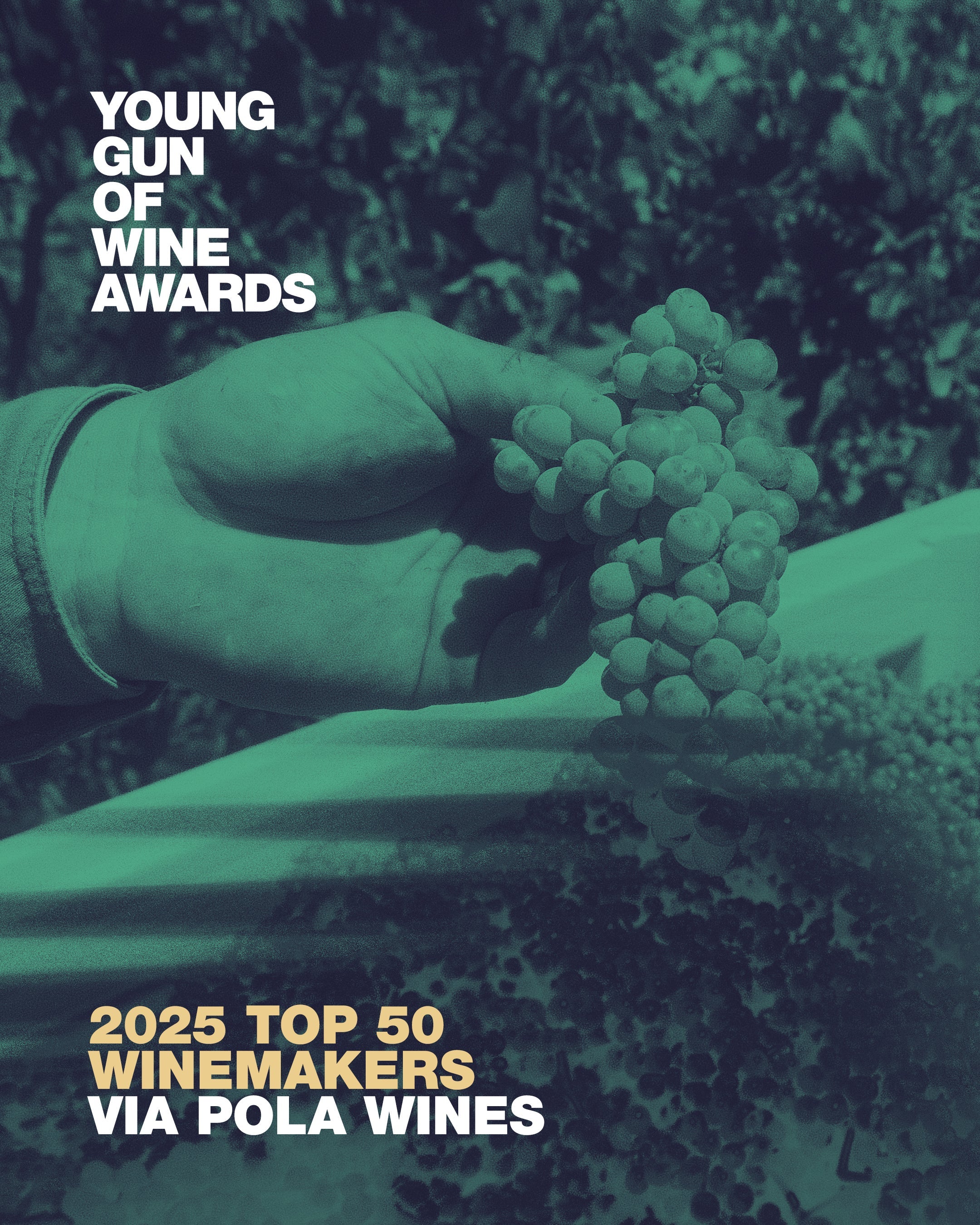 2025 Young Gun of Wine Finalist – Via Pola Wines